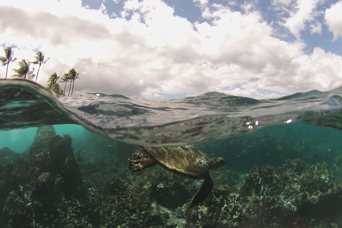 Molokini Crater and South Maui Coast Adventure from Kihei - The Itinerary: A Closer Look