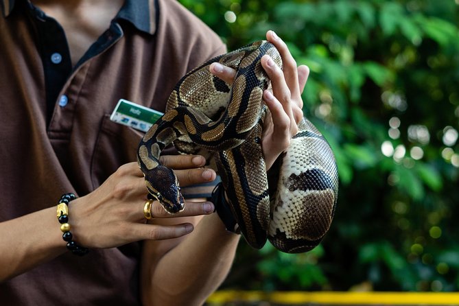 Morning at the Zoo with 1-way Transfer (Free & Easy) - FAQs