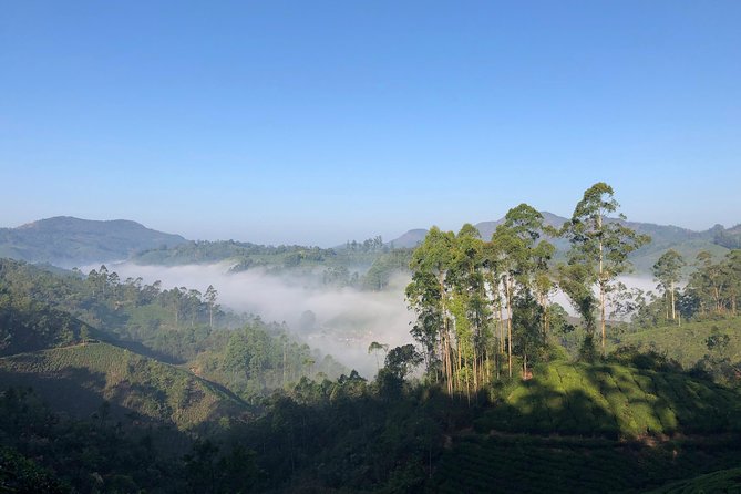 Mountain Hiking in Munnar (half day) By Munnar Info - The Guides: Knowledge and Personal Touch