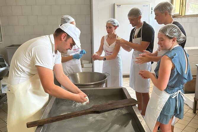 Mozzarella Experience With Tasting in Vico Equense - Discovering the Dessert Options