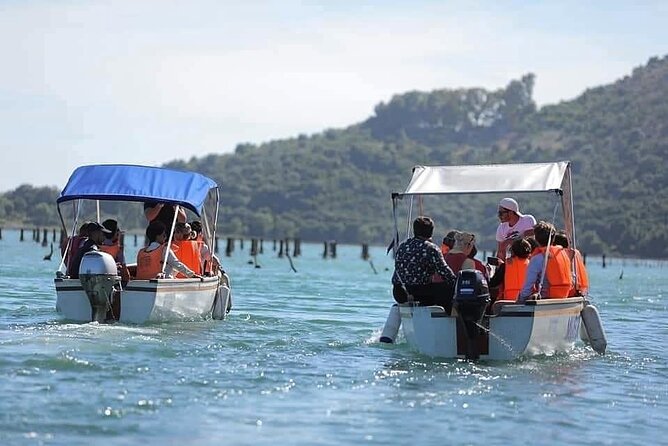 Mussel Sailing Tour with Food and Drink Tasting in Albania - Who Will Love This Tour?