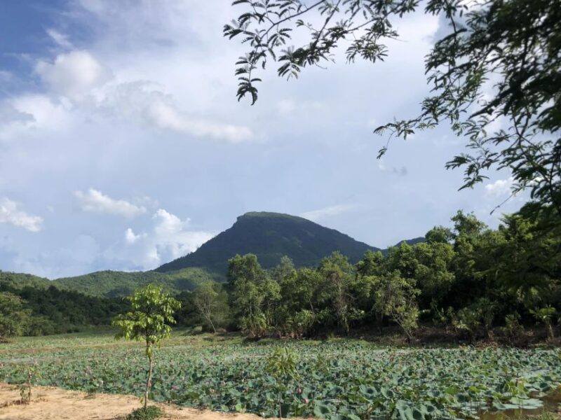 My Son Sanctuary & Marble Mountain Private Trip - Analyzing the Tour Value