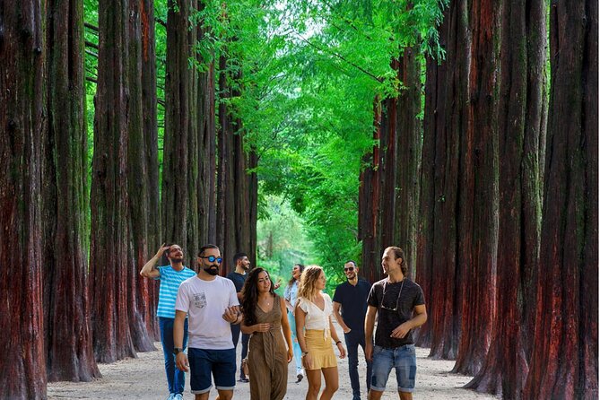 Nami Island & Garden of Morning Calm & Gangchon Railbike Tour - Transportation, Guides, and Overall Value