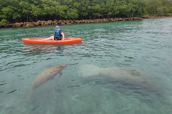 Nature & Island Exploration on SUP/Kayak - Practical Details & Tips