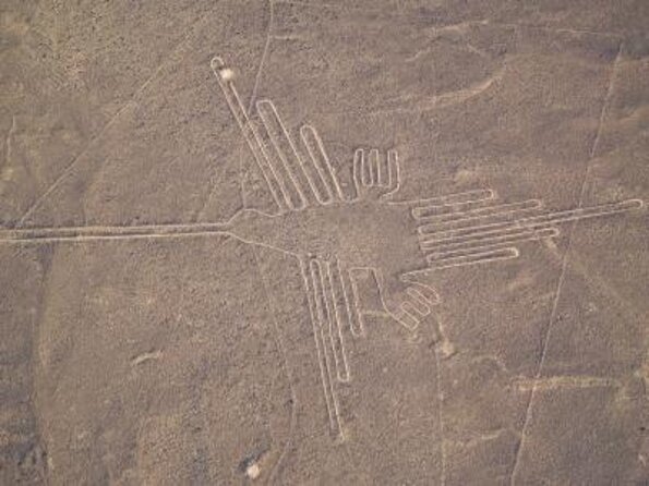 Nazca Lines and Dune Buggy (Huacachina) From Ica - Nazca Lines Flight Experience