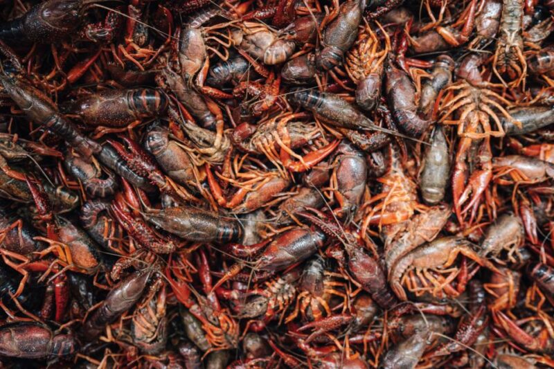 New Orleans' Lower Garden Food Tour - Who Will Love This Tour?