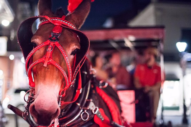New Orleans Small-Group Haunted History Carriage Tour - Who Will Love This Tour?
