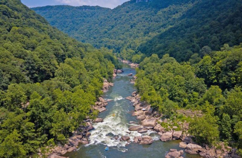 New River Gorge Whitewater Rafting - Lower New Half Day - Who Should Consider This Tour?