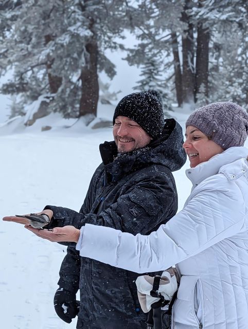 New Washoe City: Chickadee Ridge Beginner Snowshoeing Hike - The Experience & Guides