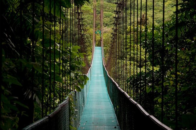 Nocturnal Walk in the Hanging Bridges - Exploring the Hanging Bridges