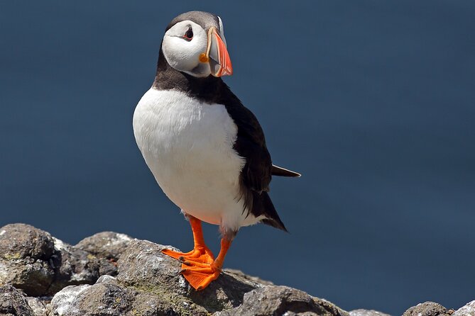 North East Coastal Trail Small Group Day Tour From Aberdeen - Highlights of the Itinerary
