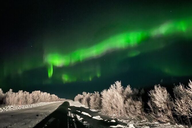Northern Light Hunt With Minibus Review - Guide and Tour Quality