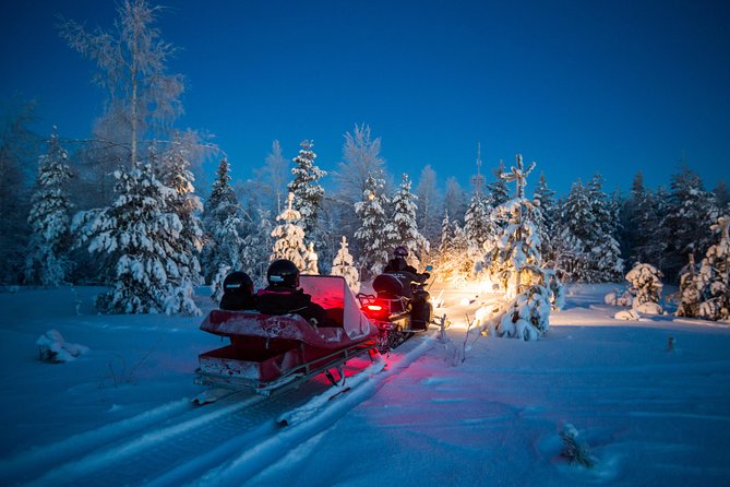 Northern Lights Sledge Ride - Highlights of the Experience