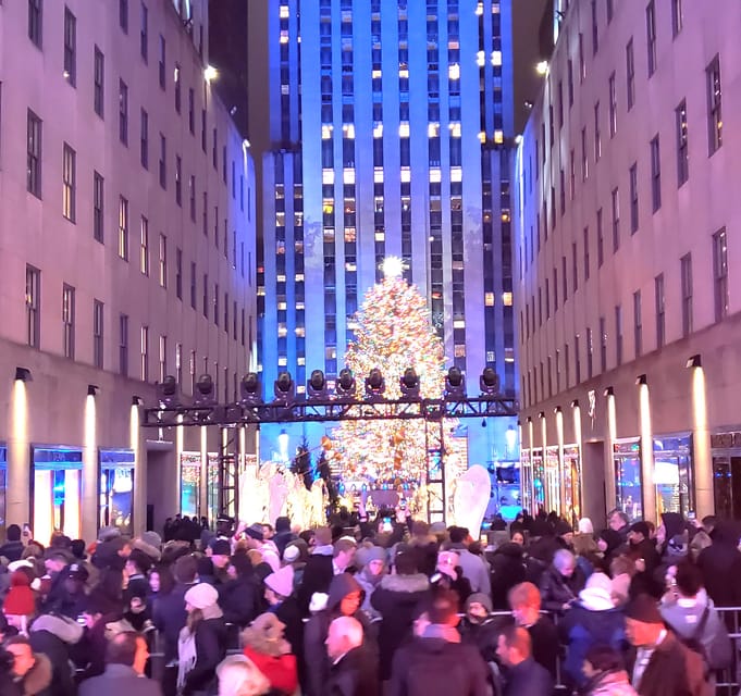 NYC: Christmas Lights Horse Carriage Ride - What’s Included and How It Works