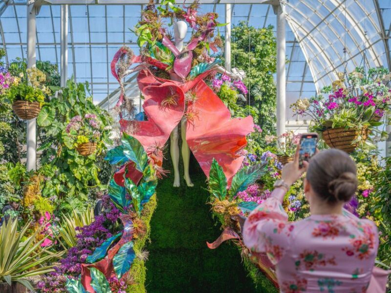 NYC: New York Botanical Garden Pass with Orchid Show Option - The Seasonal Exhibitions: Extra Layers of Magic