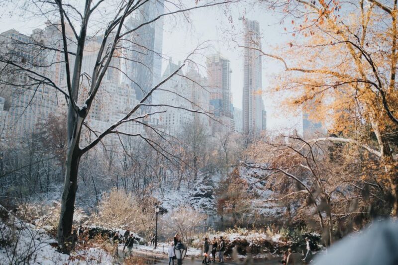 NYC Private Walking Tour with Professional Guide - Why Choose a Private Guided Walking Tour of NYC?