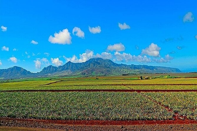 Oahu Grand Circle Island Experience Departing from Maui - Who Would Love This Tour?