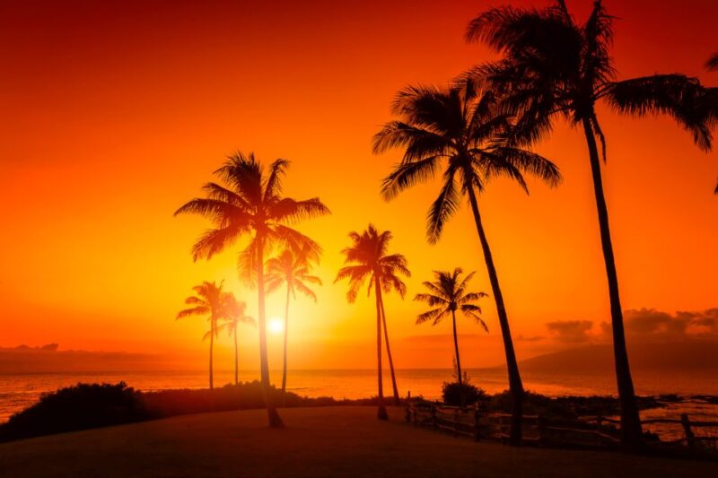 Oahu: Sunset Cruise of West Oahu with Drinks and Appetizers - The Highlight: Sunset and Ocean Views