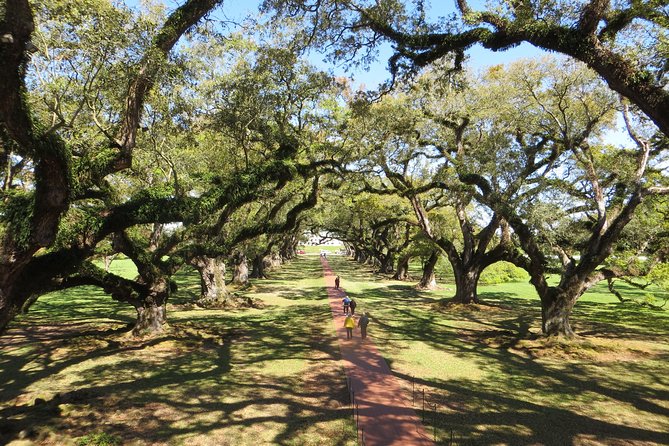 Oak Alley Plantation Half-Day Tour from New Orleans - Authentic Experiences and Honest Insights