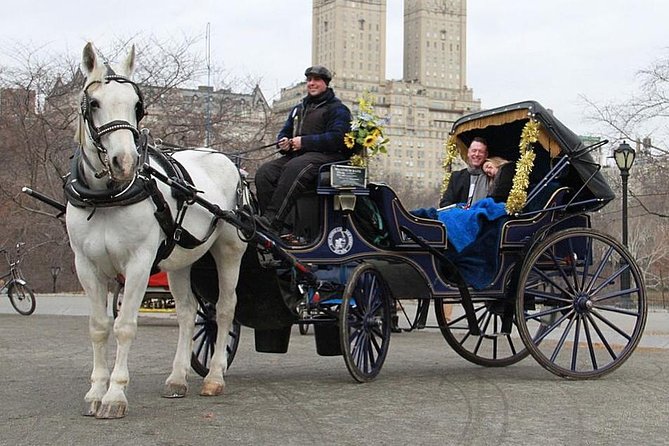 Official NYC Horse Carriage Rides in Central Park since 1979 ™ - Exploring Central Park in Style: How the Ride Works