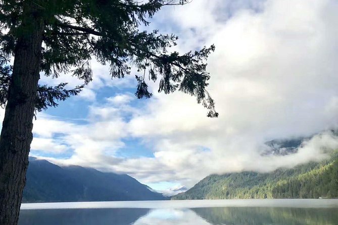 Olympic National Park Full-Day Tour W/ Scenic State Ferries - Who Will Love This Tour?