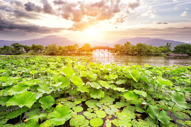 One-Day Hangzhou Dragon Well Tea Culture & West Lake Private Tour - Final Thoughts: Is This Tour Worth It?