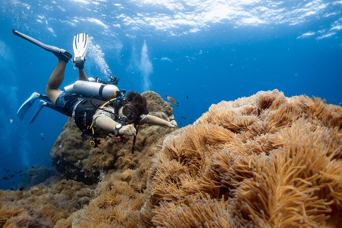 Open Water Course - Become certified diver in 3 days - What to Expect from the Course