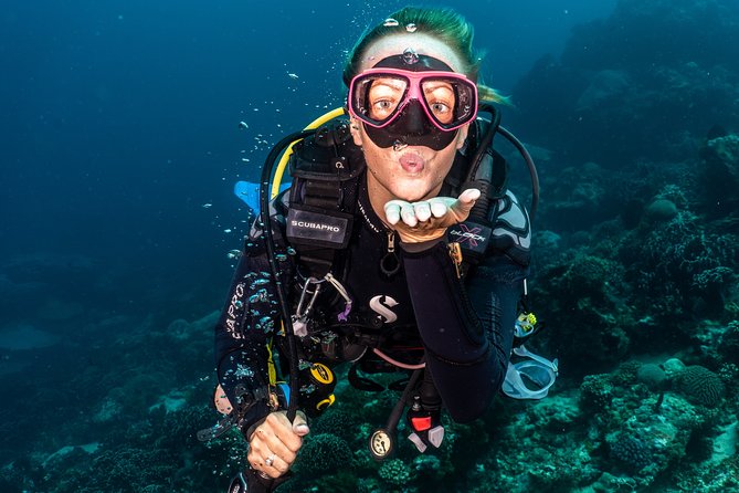 Open Water Course in Tulamben - Get Certified in Bali - The Dive Sites and Experience