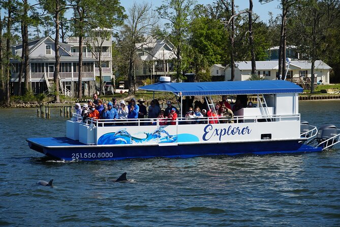 Orange Beach Dolphin Eco Boat Tour - Analyzing the Price and Value