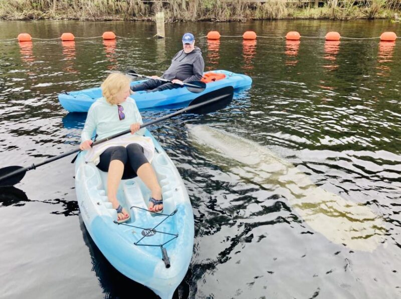 Orange City: Blue Spring State Park SUP & Kayaking Tour - The Reality of Recent Reviews