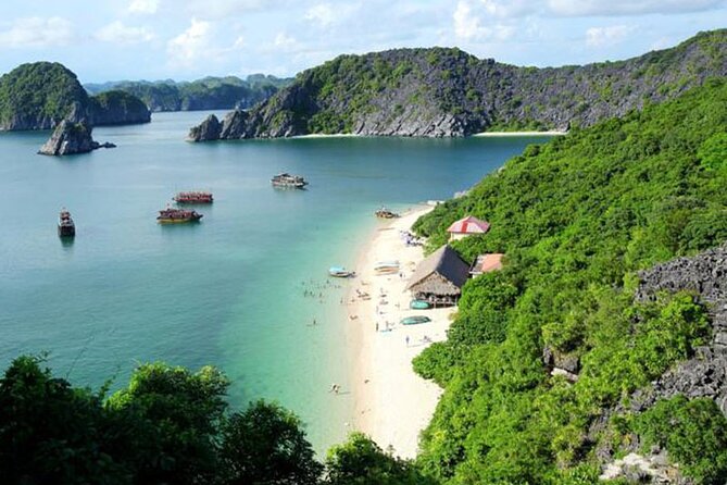 Orchid Cruises Halong Bay 2Day/1Night on 5 Star - Who Should Consider This Tour?