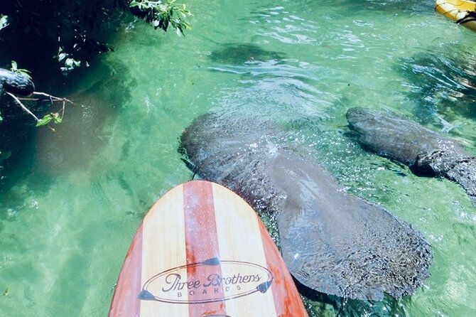 Orlando Manatee and Natural Spring Adventure Tour at Blue Springs - Meeting and Logistics