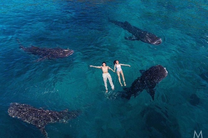 Oslob Whale Shark & Tumalog Falls & Kawasan Falls Canyoneering - FAQs
