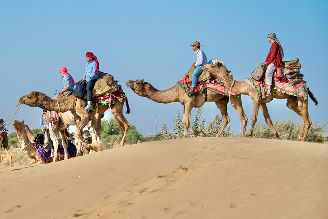 Overnight Camel Safari - Sleeping under the Stars - The Desert Camp: Food, Fire, and Stars