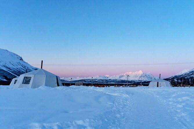 Overnight Stay With Reindeer Sledding & Feeding - Tromso Departure and Transfer