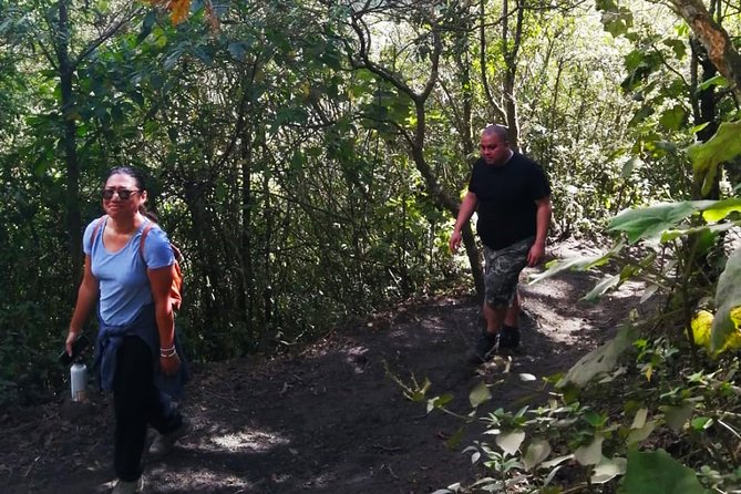 Pacaya Volcano Tour and Hot Springs From Guatemala City - Whats Included