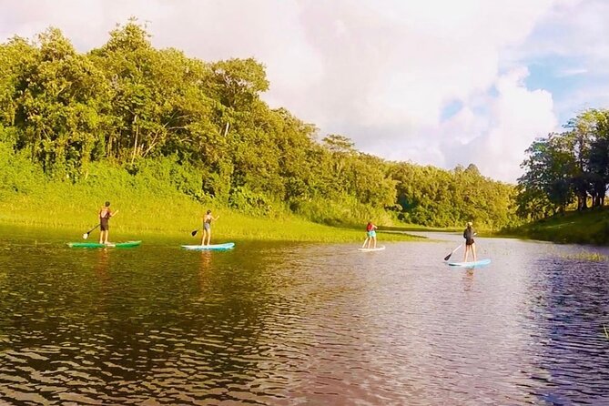Paddle Board Private Tour Nuevo Arenal, Lake Arenal - Inclusions and Amenities