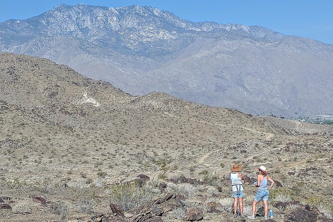 Palm Springs Hike to an Oasis and Amazing Desert Views - Meeting Point and Directions