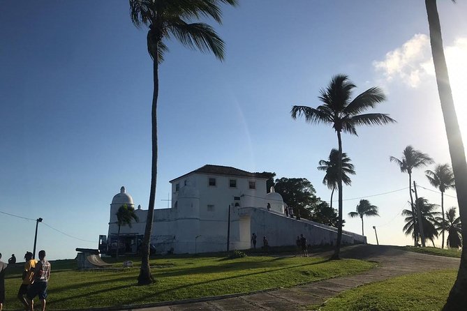 Panoramic City Tour - Half Day in Salvador - Getting to Salvador