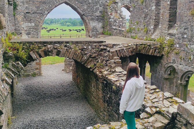 Personal Tour: Hill of Tara Trim Castle Boyne Valley Celtic Sites - Inclusions