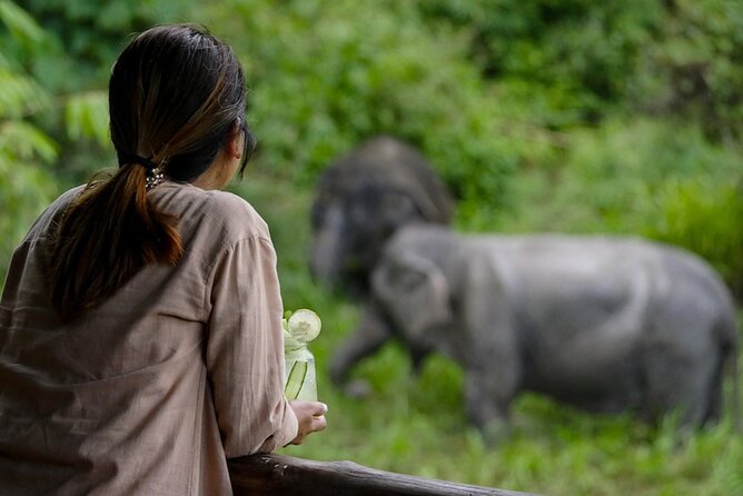 Phuket Elephant Sanctuary Canopy Walkway Tour - A Well-Rounded Itinerary