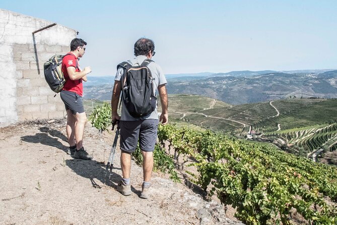 Pinhão Hiking Tour - Hiking Experience