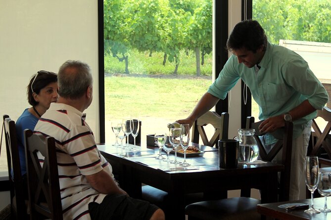 Pizzorno Winery With Lunch and Wine Tasting - Pickup and Transportation