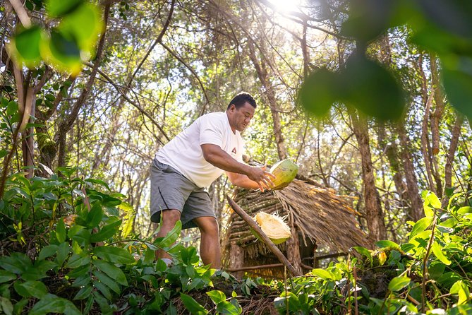Polynesian Cultural ATV Tour - Who Should Consider This Tour?