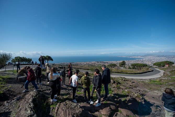 Pompeii and Vesuvius Small Group Tour From Sorrento With Pizza - Inclusions