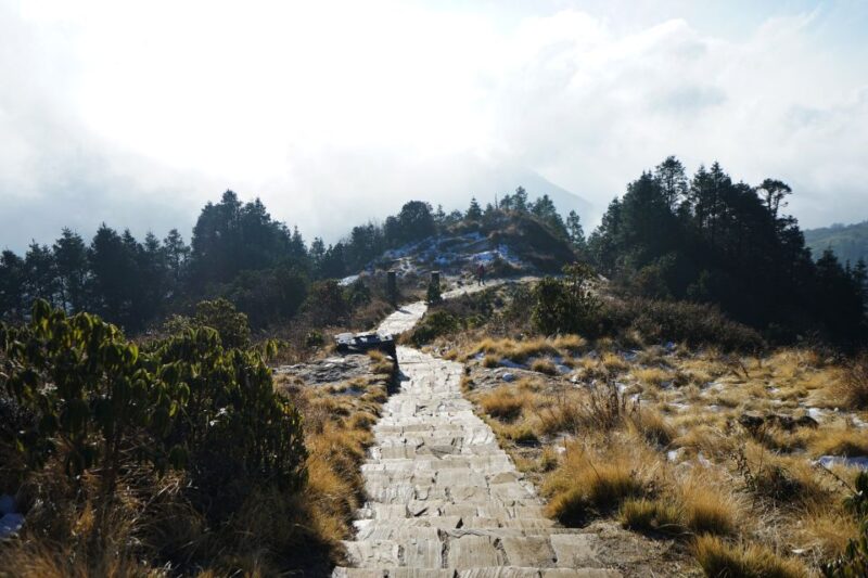 Poon Hill Trekking from Kathamndu - Detailed Breakdown of the Itinerary