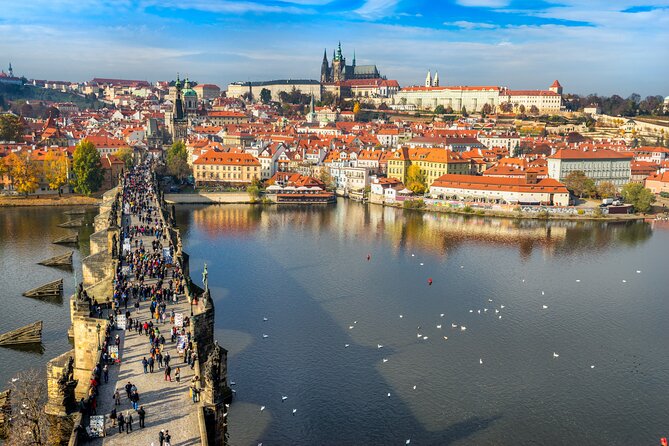 Prague Highlights in Half a Day - Navigating Public Transport in Prague