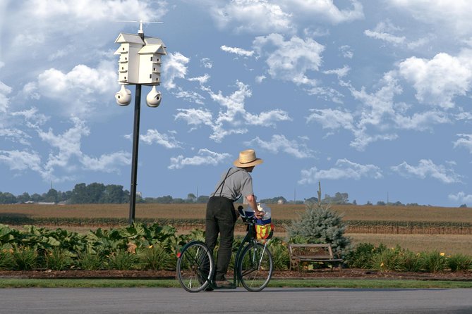 Premium Amish Country Tour including Amish Farm and House - What You Can Expect from the Tour
