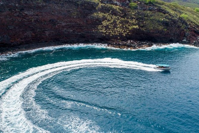 Premium Kona Coast Morning Snorkel - Participant Requirements and Restrictions