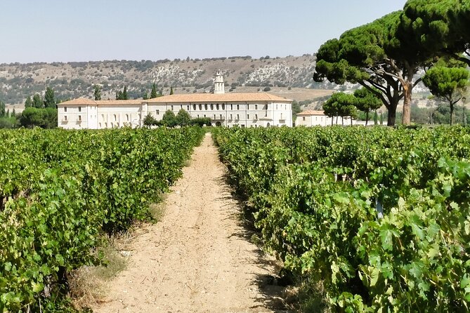 Premium Ribera Del Duero Tour With Winemaker-Guide - Meeting and Pickup Logistics